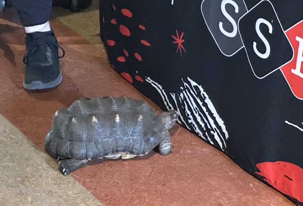 Creepy Crawlers slithering their way into Seneca@York – Seneca Journalism