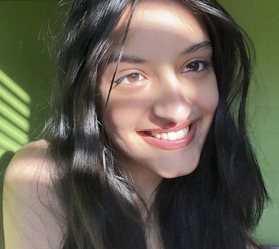 Ottawa limits the number of new international students – Seneca Journalism